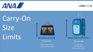 Guide to ANA Carry-on Size, Weight & Liquids Policy